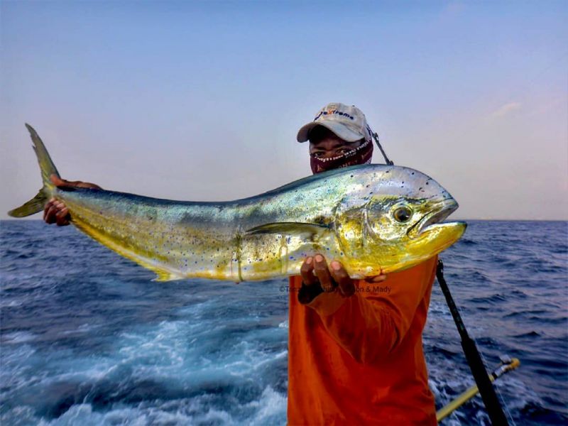 Экскурсии на Занзибаре. Цены 2021 года. Отзывы и фото туристов.